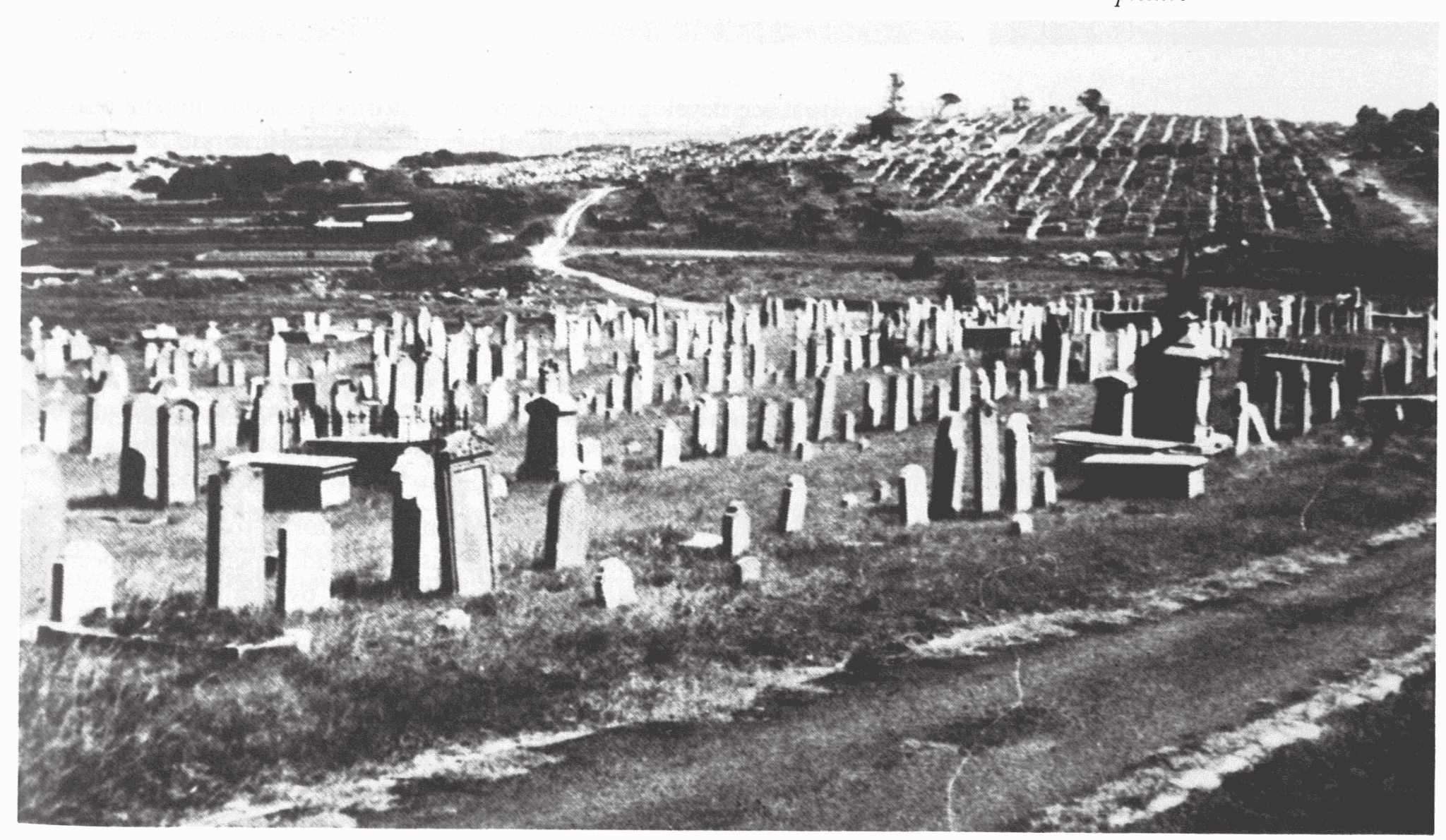 Metropolitan Memorial Parks - Our history