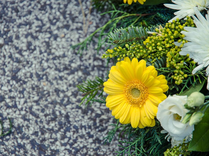 Metropolitan Memorial Parks - Burial options | Field of Mars Cemetery