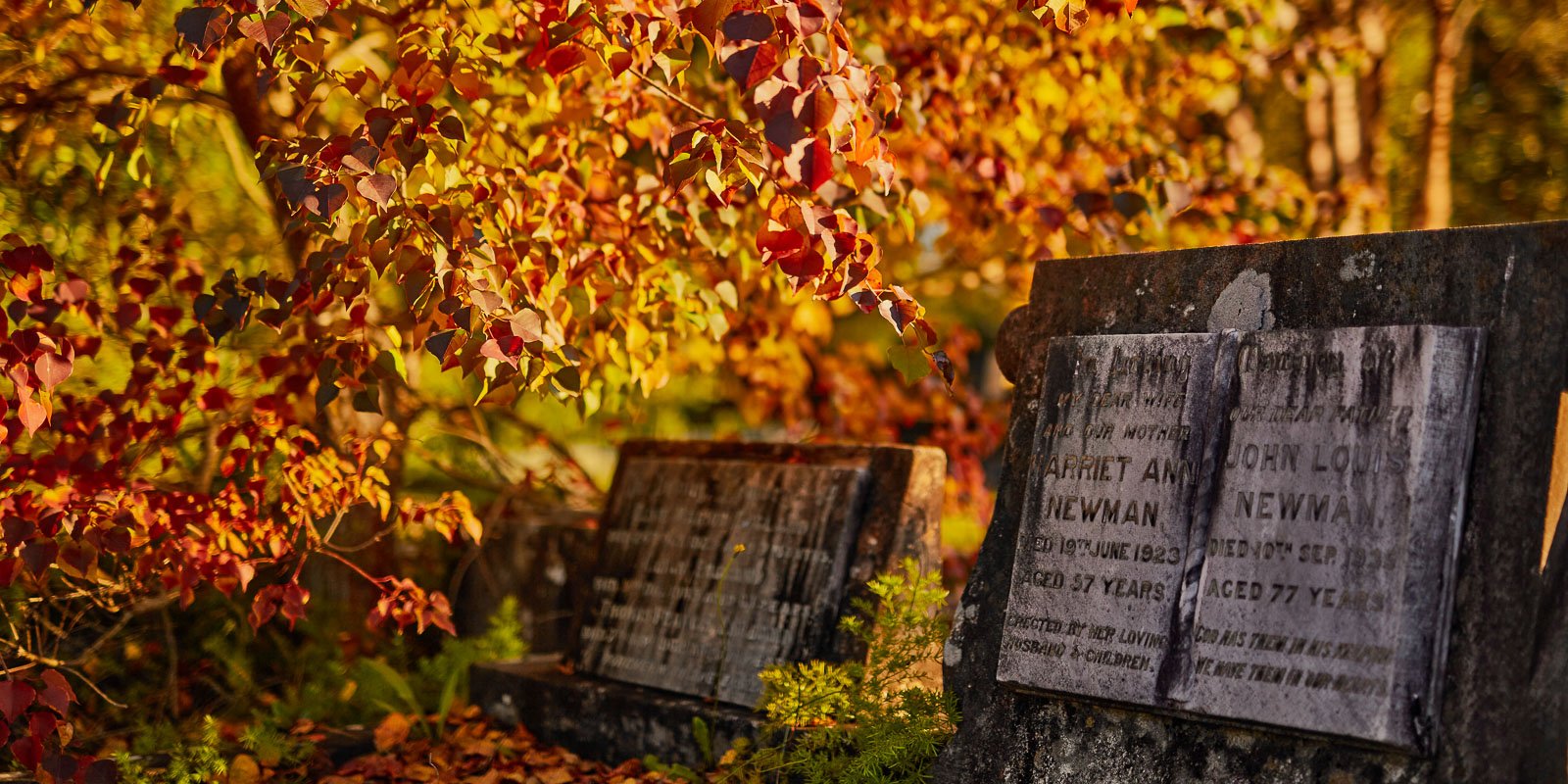 Metropolitan Memorial Parks - Rookwood General Cemetery