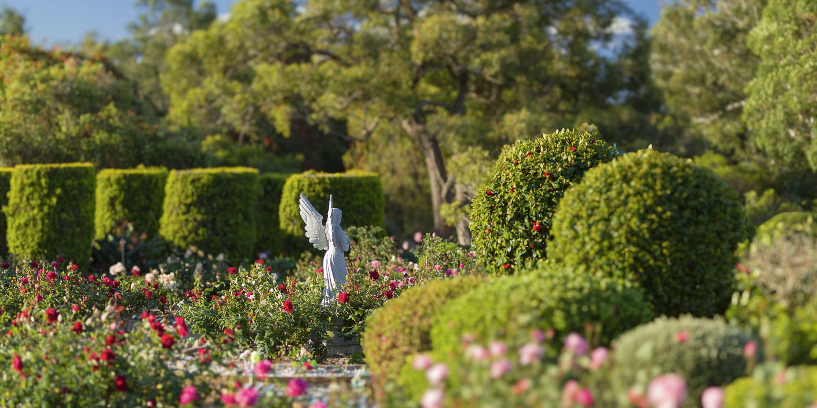 Metropolitan Memorial Parks - Sandgate Cemetery